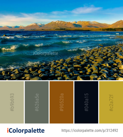 Color Palette Ideas from Sea Shore Coast Image | iColorpalette