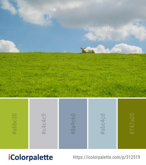 Color Palette Ideas from Grassland Sky Pasture Image | iColorpalette