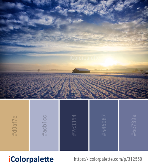 Color Palette Ideas from Sky Horizon Cloud Image | iColorpalette
