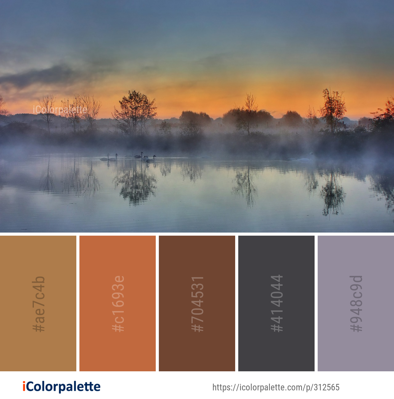 Color Palette Ideas from Reflection Sky Nature Image | iColorpalette