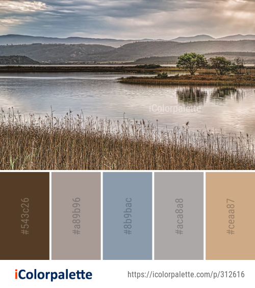 Color Palette Ideas from Reflection Loch Water Image | iColorpalette