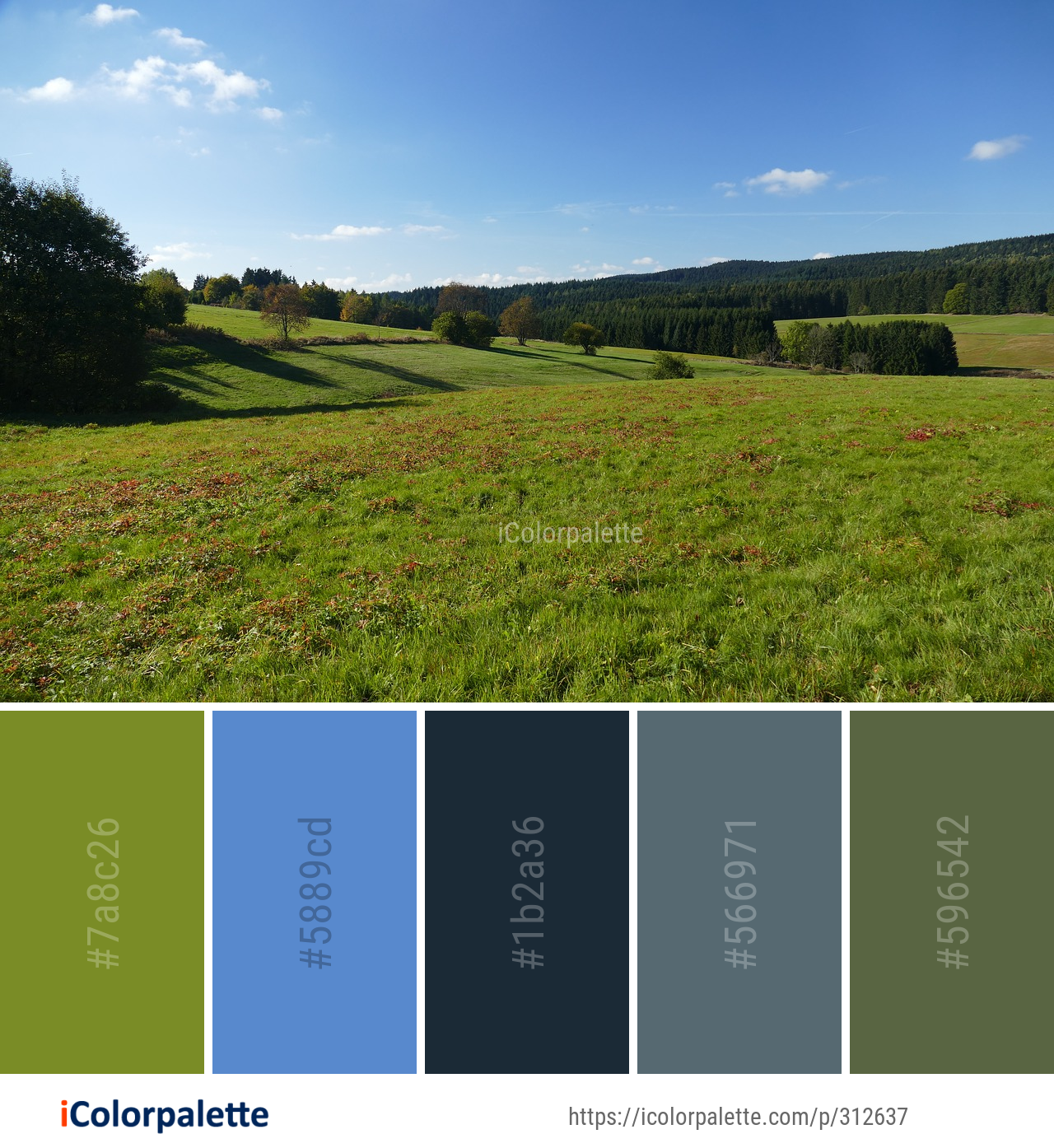 Color Palette Ideas from Grassland Sky Pasture Image | iColorpalette