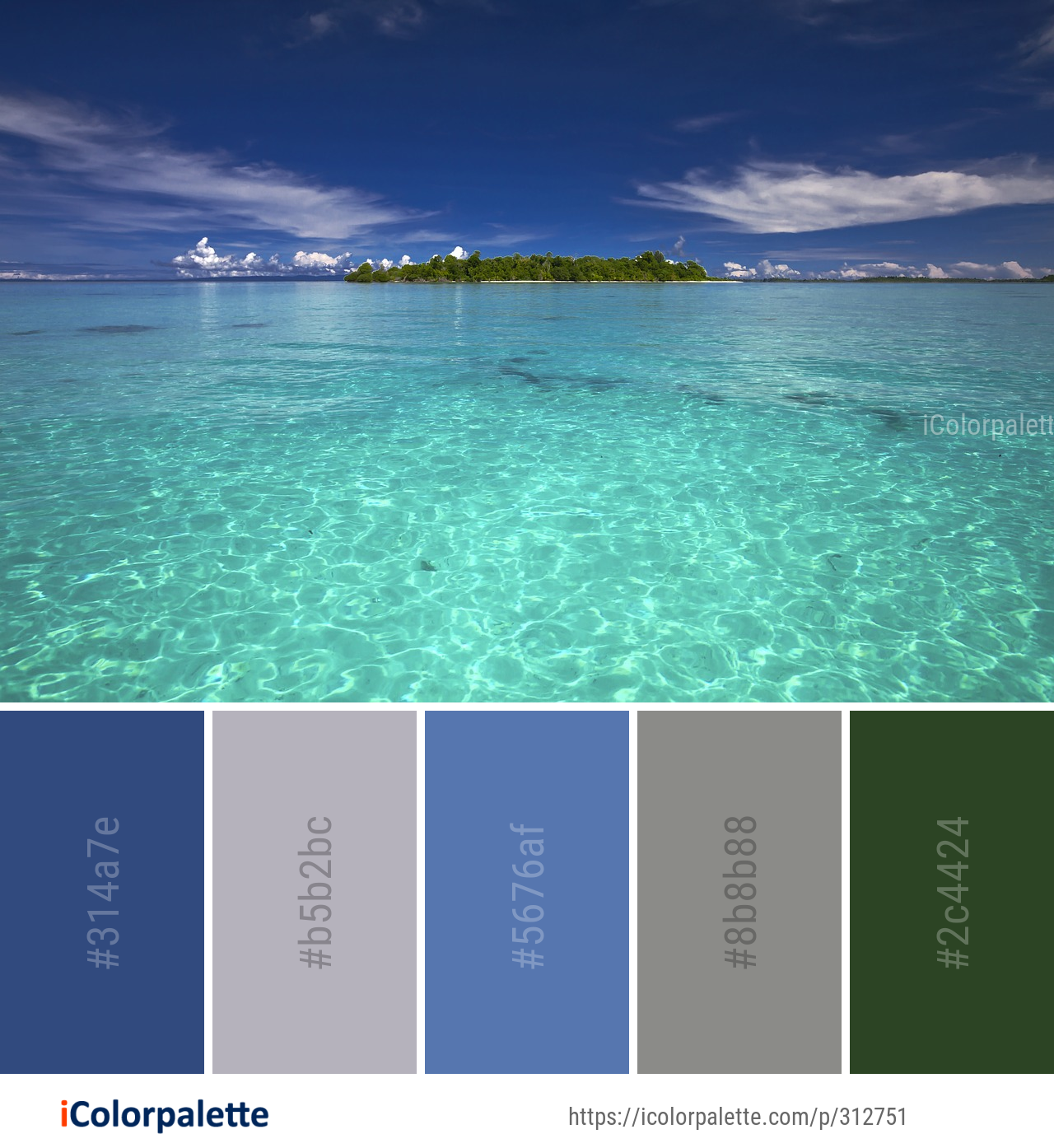 Color Palette Ideas from Sea Coastal And Oceanic Landforms Ocean Image ...