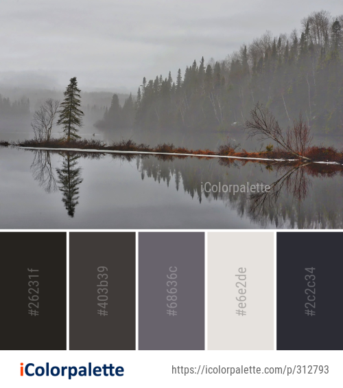285+ Fog Color Palette ideas in 2026 | iColorPalette