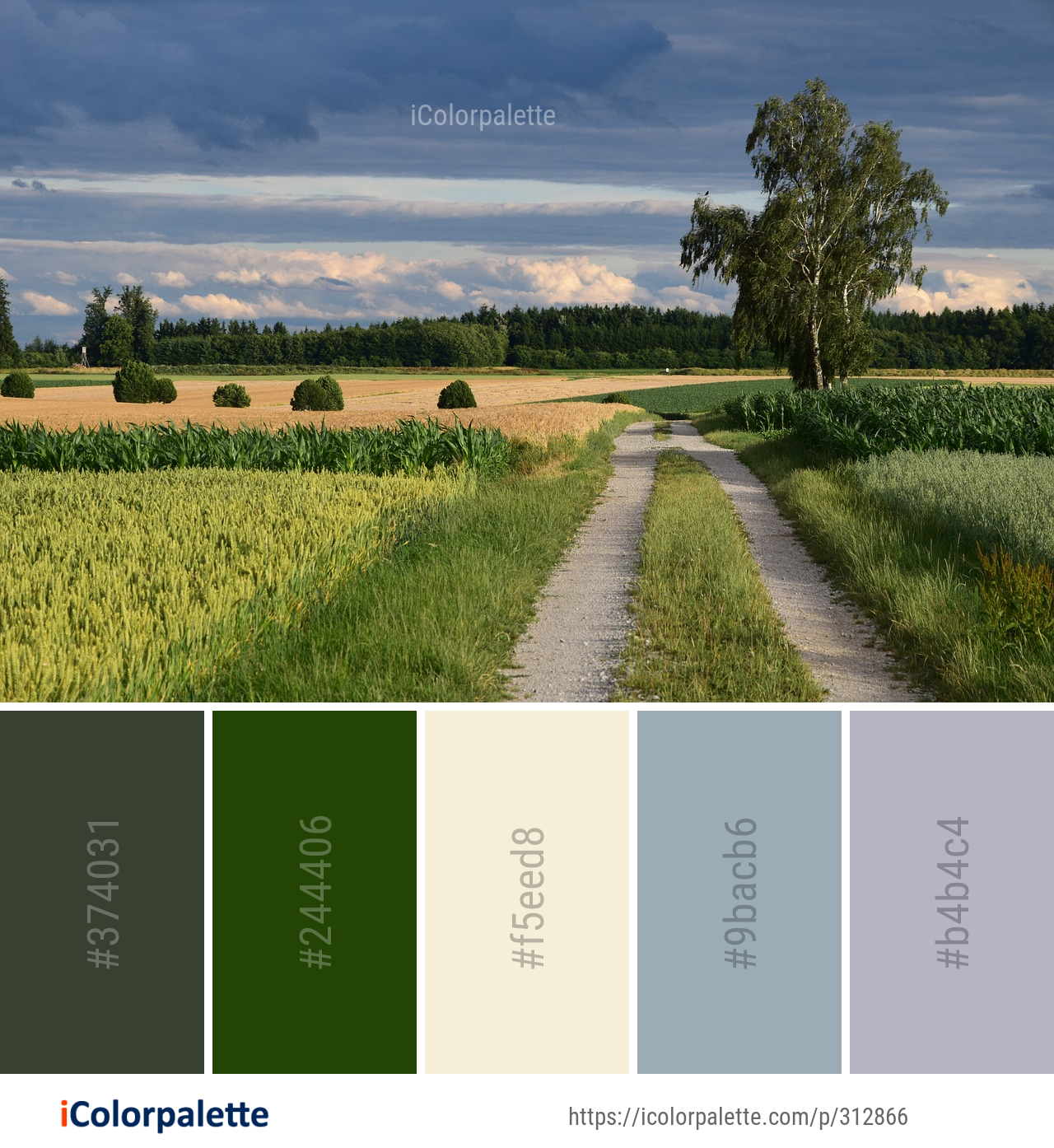 Color Palette Ideas from Sky Field Cloud Image | iColorpalette
