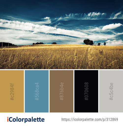 250+ Plain Color Palette ideas in 2026 | iColorPalette