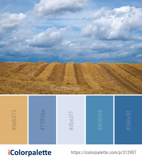 250+ Plain Color Palette ideas in 2026 | iColorPalette