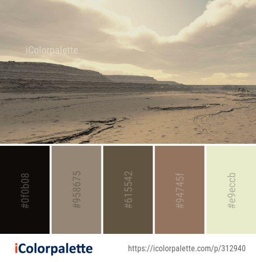 300+ Sand Color Palette ideas in 2026 | iColorPalette
