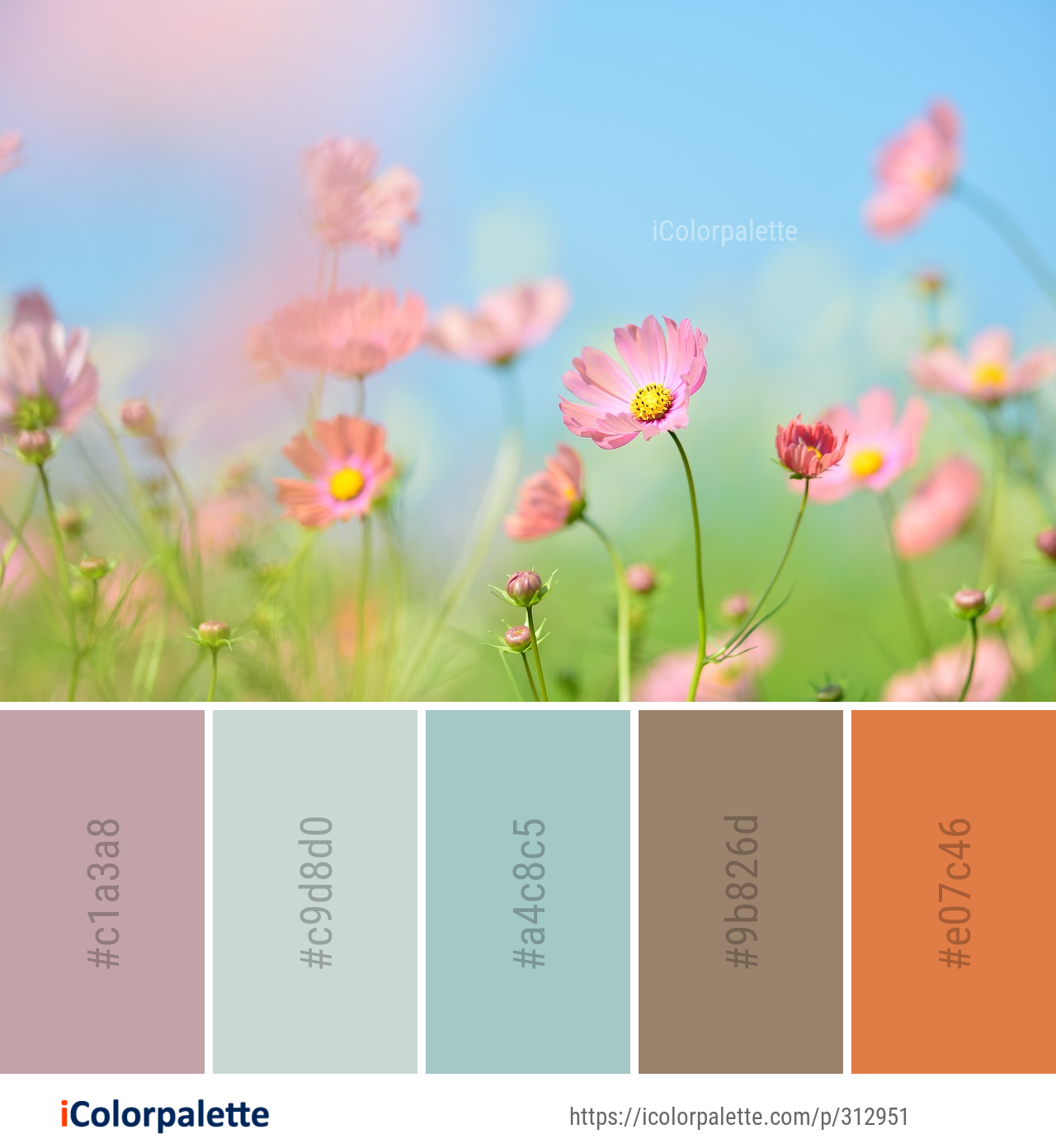 Color Palette Ideas from Flower Pink Wildflower Image | iColorpalette