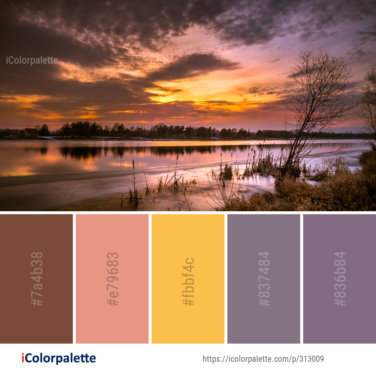 Color Palette Ideas from Reflection Sky Nature Image | iColorpalette