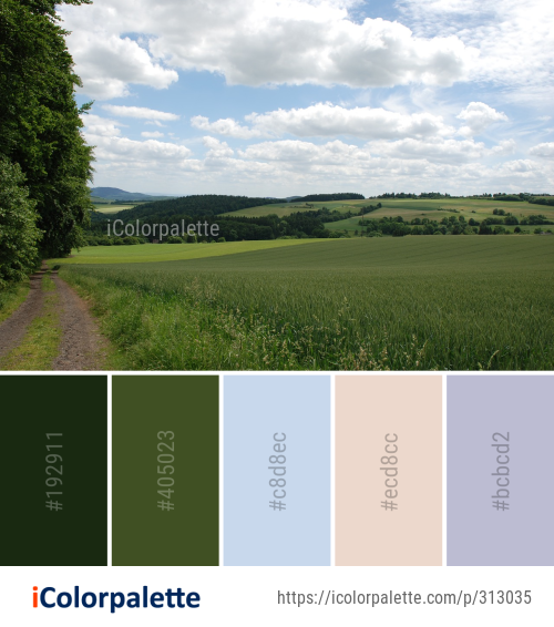 206+ Farm Color Palette ideas in 2026 | iColorPalette
