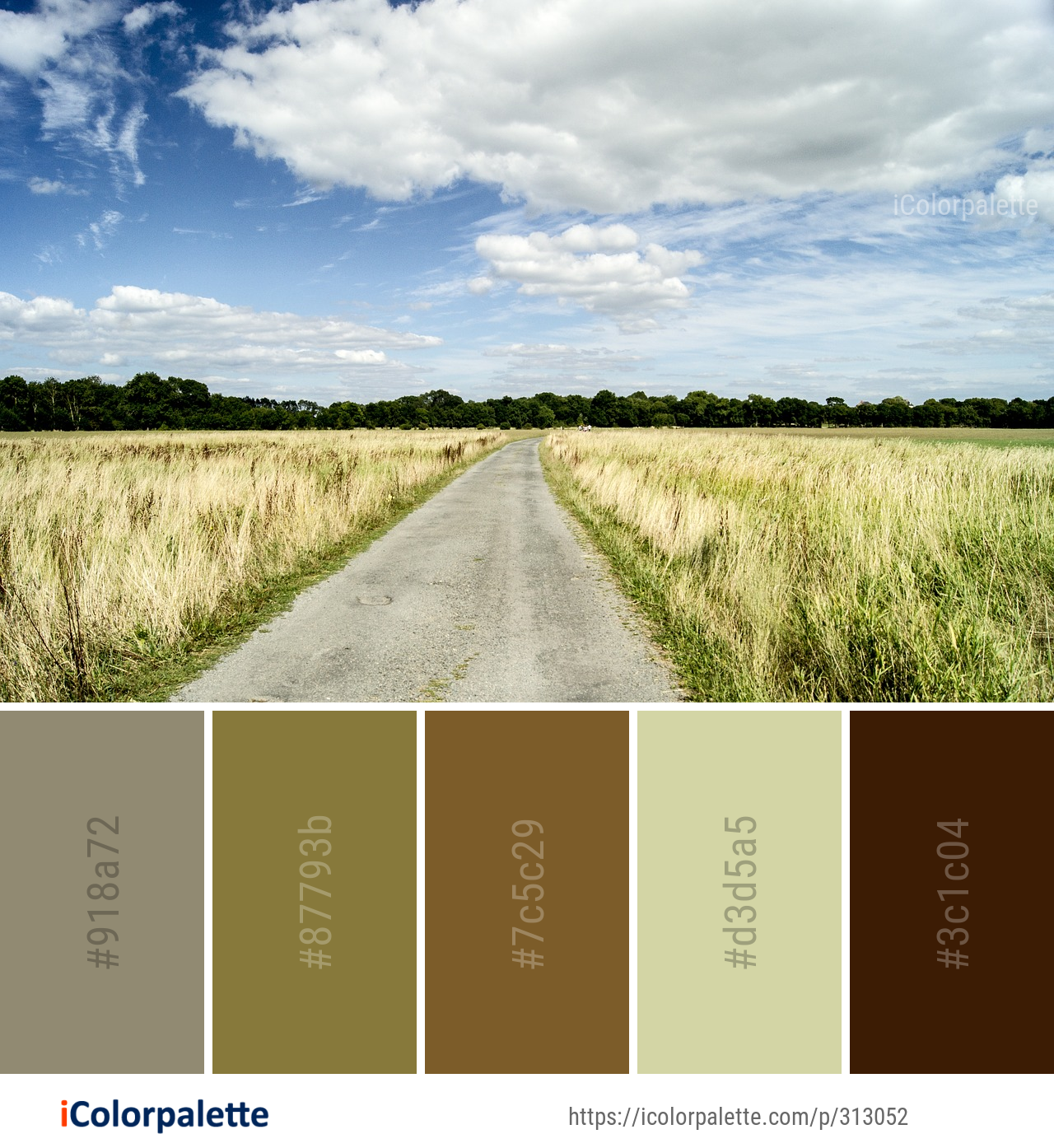 250+ Plain Color Palette ideas in 2026 | iColorPalette