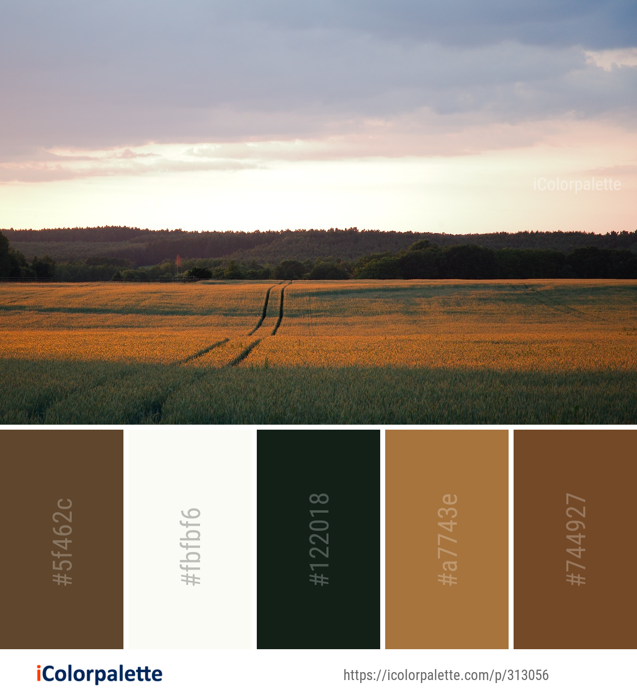 250+ Plain Color Palette ideas in 2026 | iColorPalette