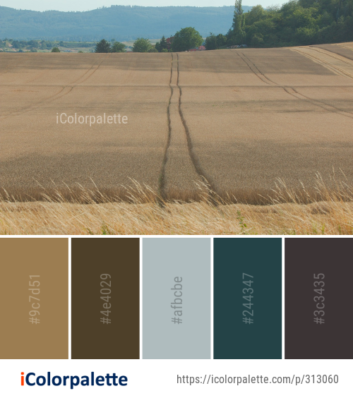 250+ Plain Color Palette ideas in 2026 | iColorPalette