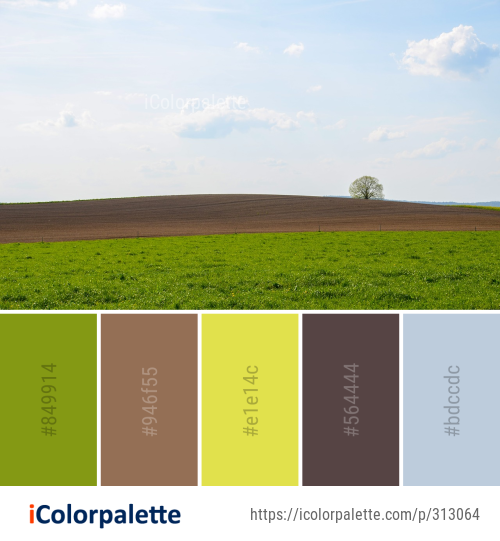 206+ Farm Color Palette ideas in 2025 | iColorPalette