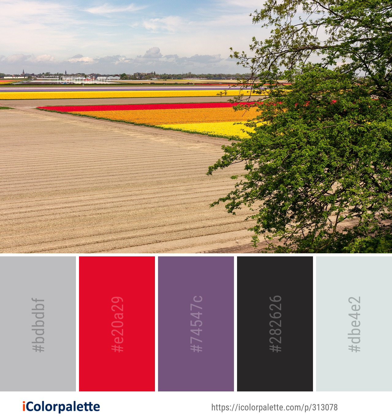 206+ Farm Color Palette ideas in 2025 | iColorPalette