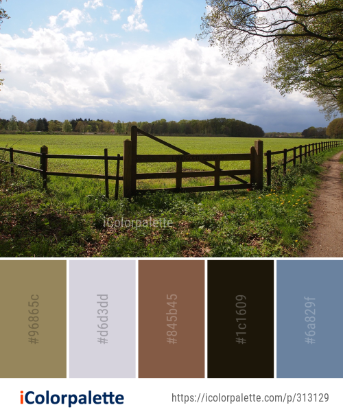 Color Palette Ideas from Grassland Pasture Sky Image | iColorpalette