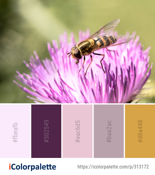 Color Palette Ideas from Honey Bee Insect Image | iColorpalette