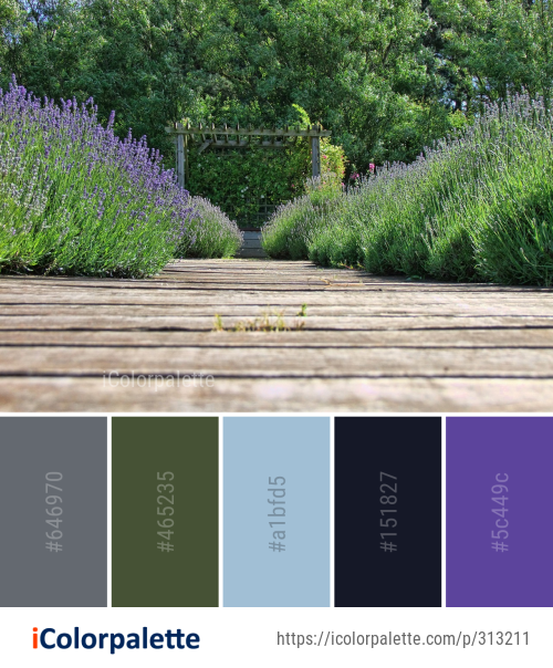 Color Palette Ideas from Walkway Leaf Path Image | iColorpalette