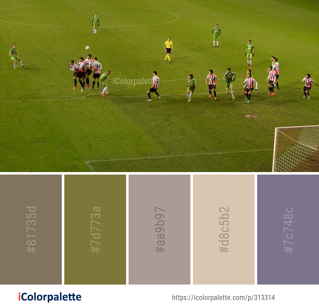 7 Sports Color Palette ideas in 2025 | iColorpalette