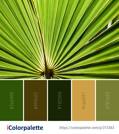 8+ Saw Palmetto Color Palette ideas in 2026 | iColorPalette