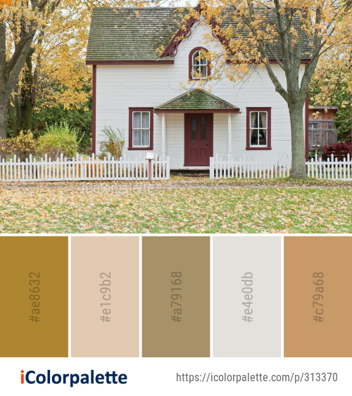 Color Palette Ideas from Home House Property Image | iColorpalette