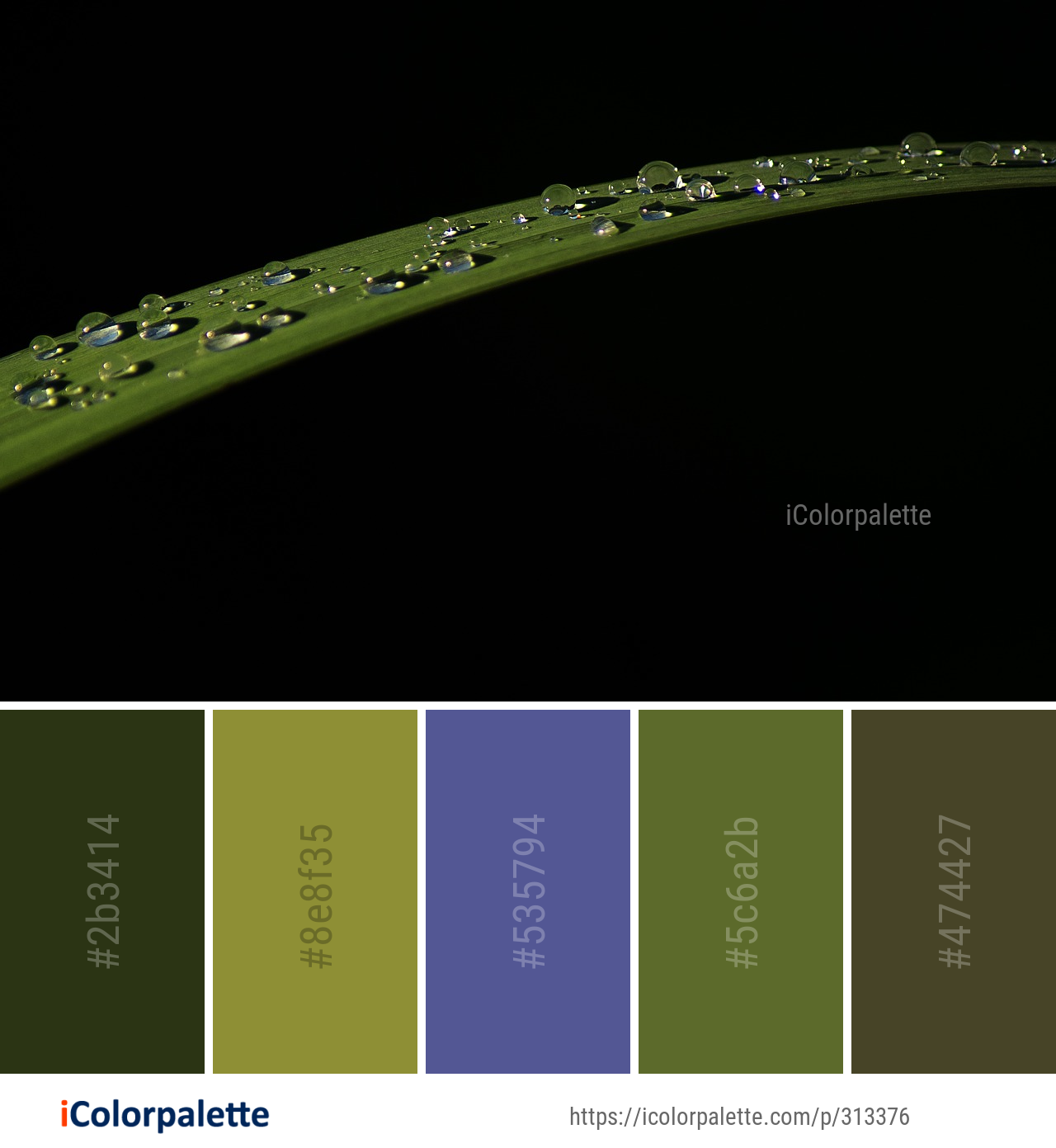 211+ Drop Color Palette ideas in 2026 | iColorPalette