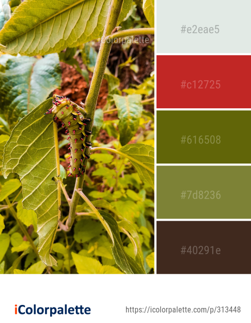 Color Palette Ideas from Leaf Plant Flora Image | iColorpalette