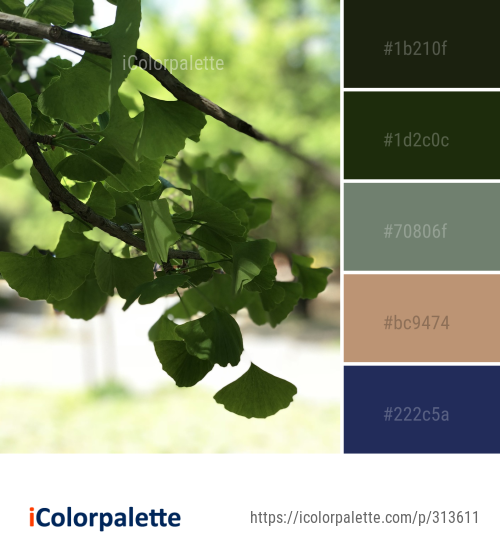 Color Palette Ideas from Leaf Green Tree Image | iColorpalette