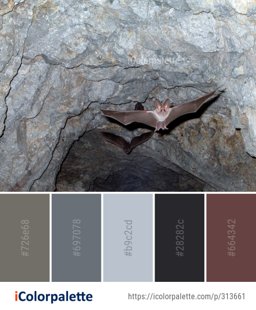 Color Palette Ideas from Rock Geology Formation Image | iColorpalette