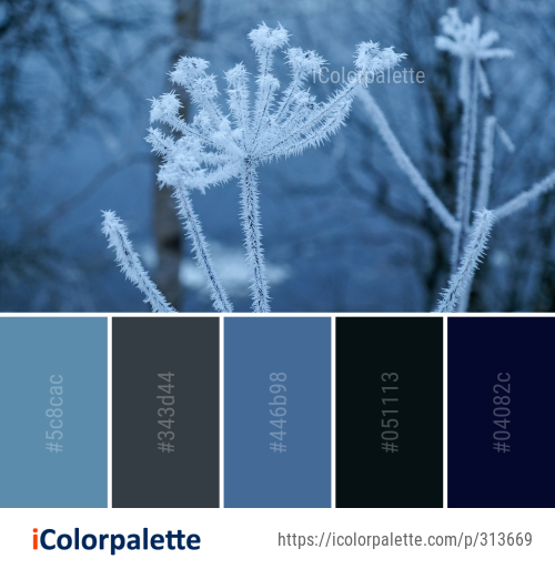 Color Palette Ideas from Frost Blue Freezing Image | iColorpalette