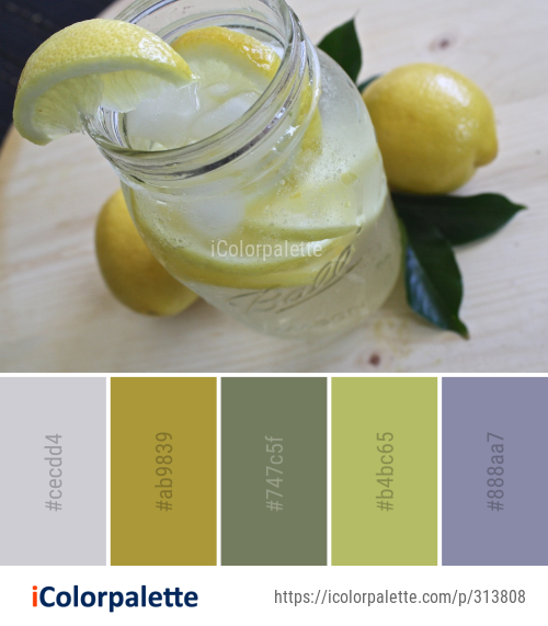 41+ Lemon Color Palette ideas in 2025 | iColorPalette