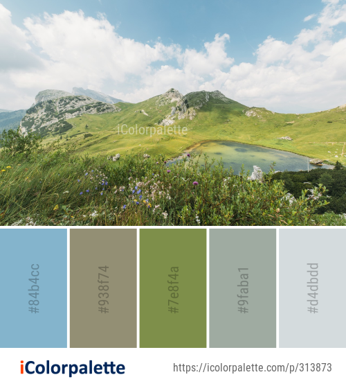 Color Palette Ideas from Highland Grassland Mountainous Landforms Image ...