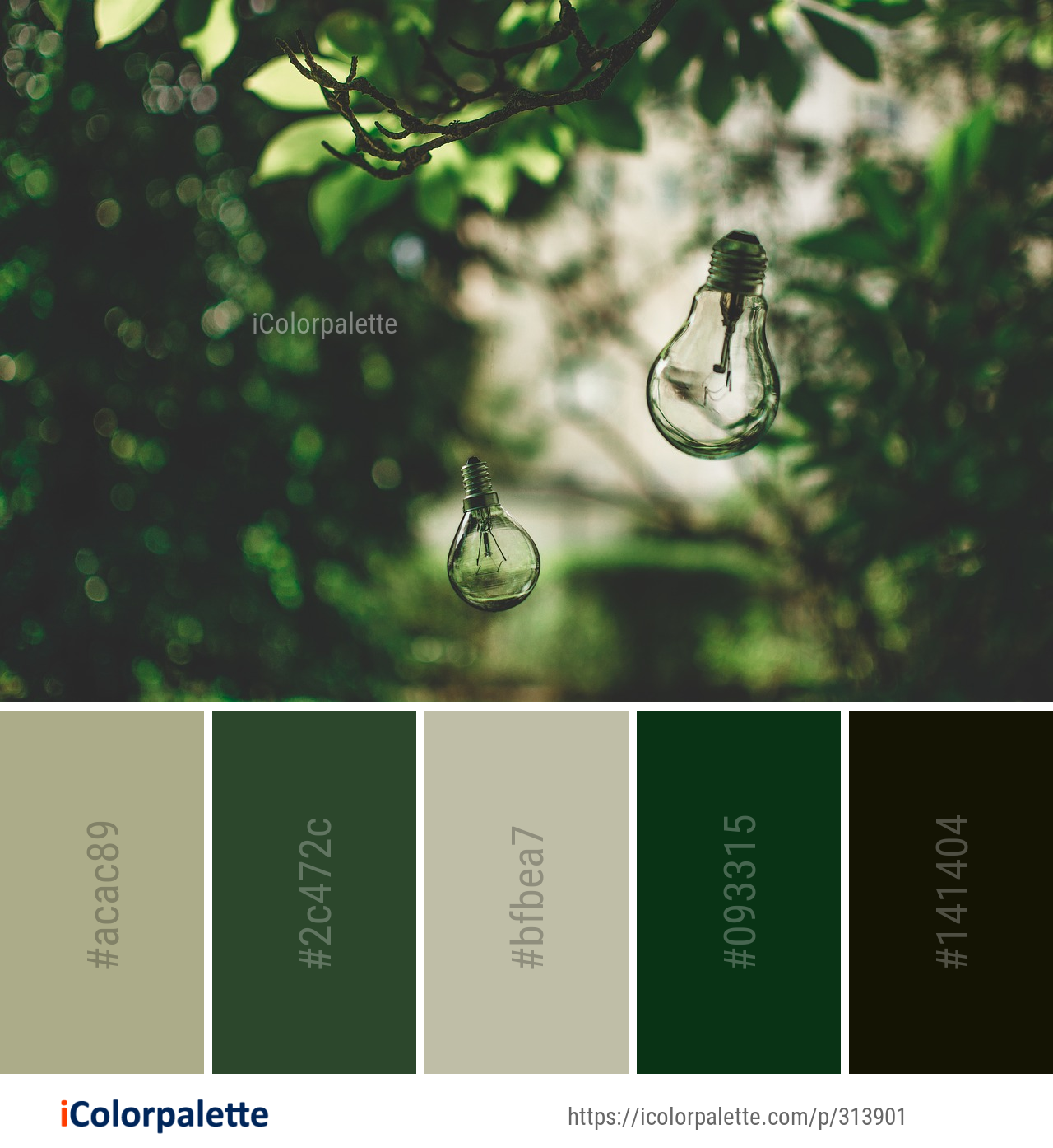 Color Palette Ideas from Green Nature Leaf Image | iColorpalette