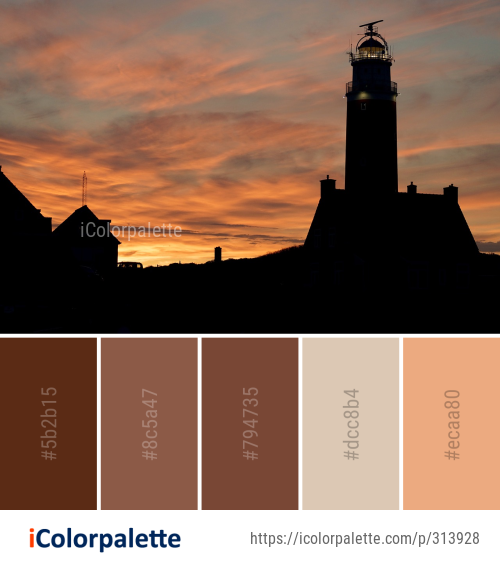 Color Palette Ideas from Sky Tower Landmark Image | iColorpalette
