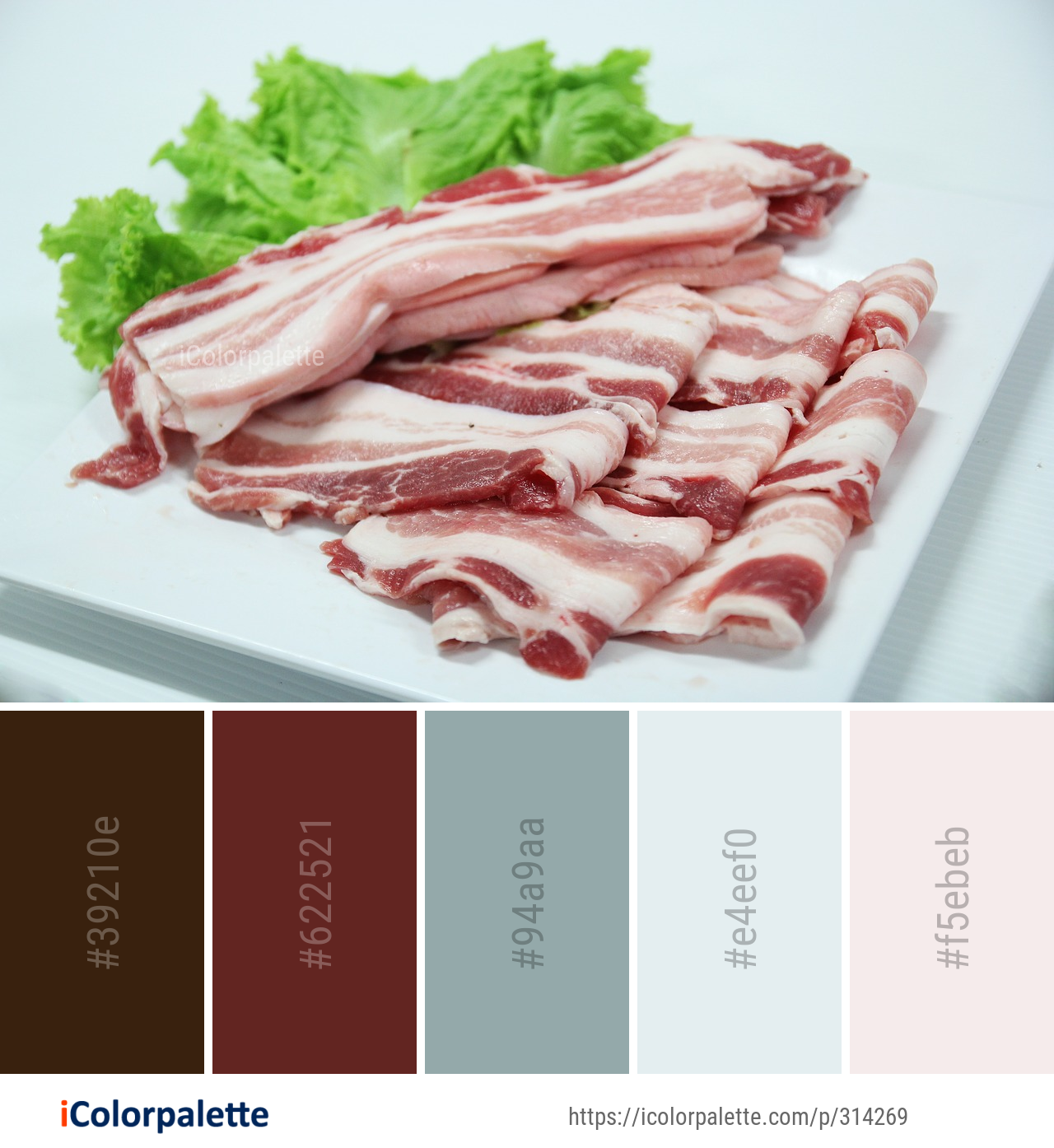 Color Palette Ideas from Meat Samgyeopsal Animal Source Foods Image ...