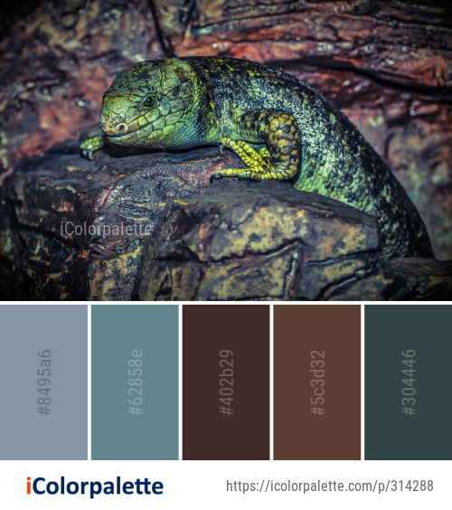 Color Palette Ideas from Green Reptile Scaled Image | iColorpalette