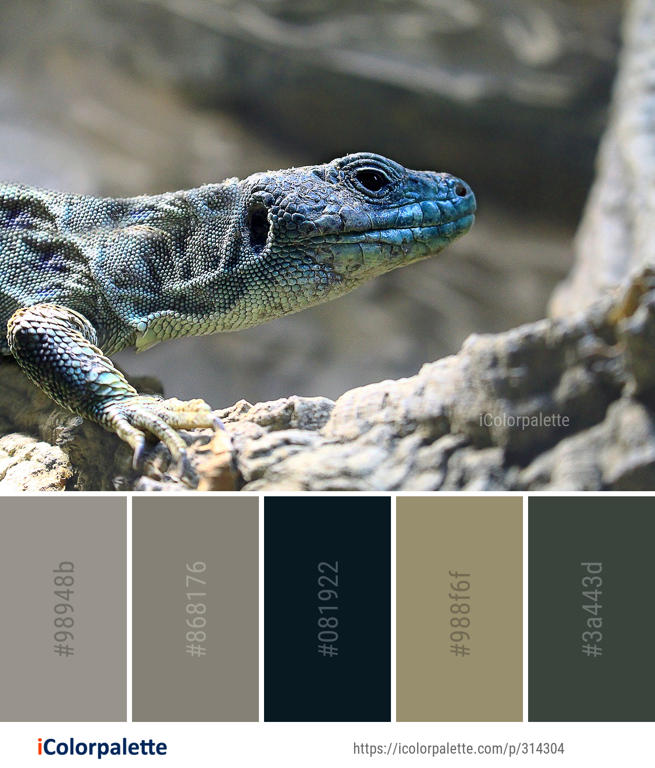 Color Palette Ideas from Reptile Scaled Lizard Image | iColorpalette