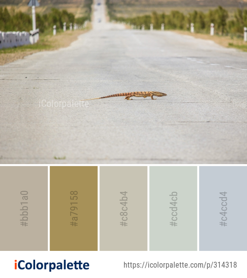 40+ Road Surface Color Palette ideas in 2025 | iColorPalette