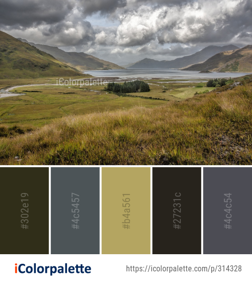 Color Palette Ideas from Highland Grassland Loch Image | iColorpalette