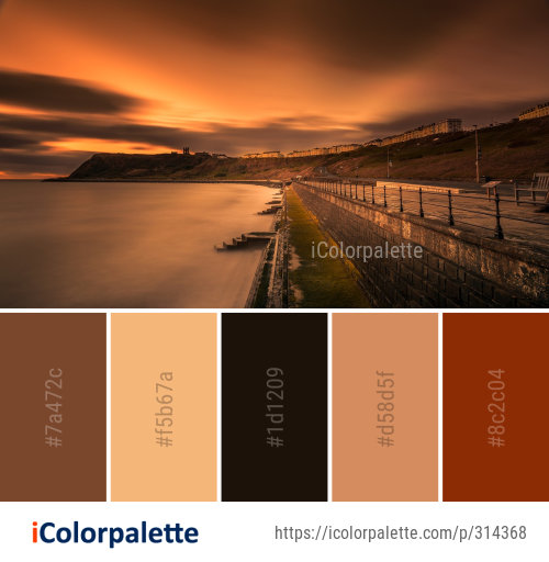 Color Palette Ideas from Sky Horizon Reflection Image | iColorpalette