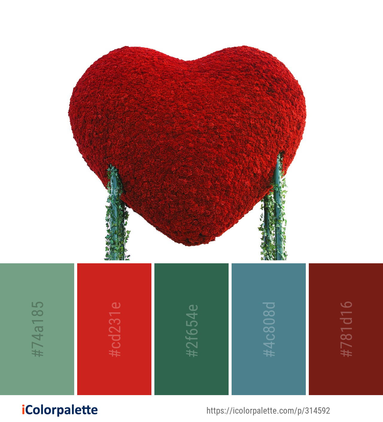 Color Palette Ideas from Red Heart Image | iColorPalette