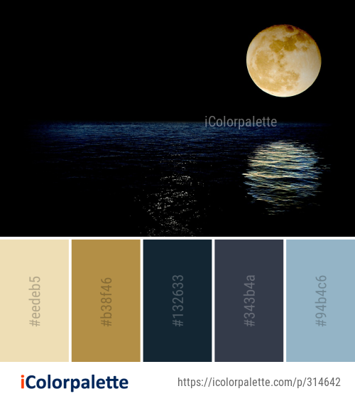 29 Full Moon Color Palette ideas in 2025 | iColorpalette