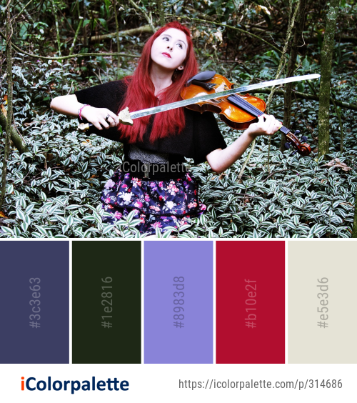 1 Violin Family Color Palette ideas in 2025 | iColorpalette