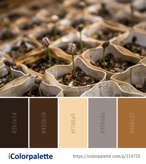 Color Palette Ideas from Soil Plant Image | iColorpalette