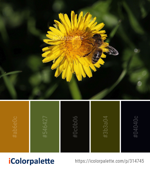 Color Palette Ideas from Flower Honey Bee Yellow Image | iColorpalette