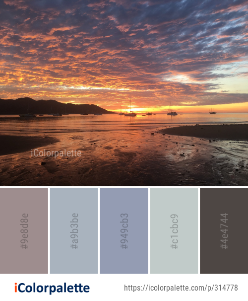 25 Sunset Color Schemes | Curated collection of Color Palettes