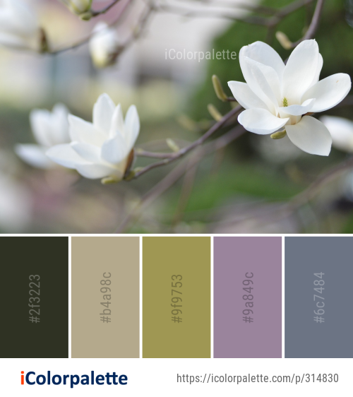 Color Palette Ideas from Flower Plant White Image | iColorpalette