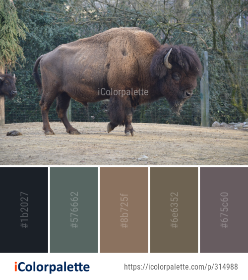 26 Bison Color Palette ideas in 2025 | iColorpalette
