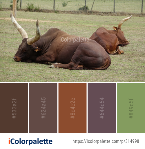 18+ Ox Color Palette ideas in 2026 | iColorPalette